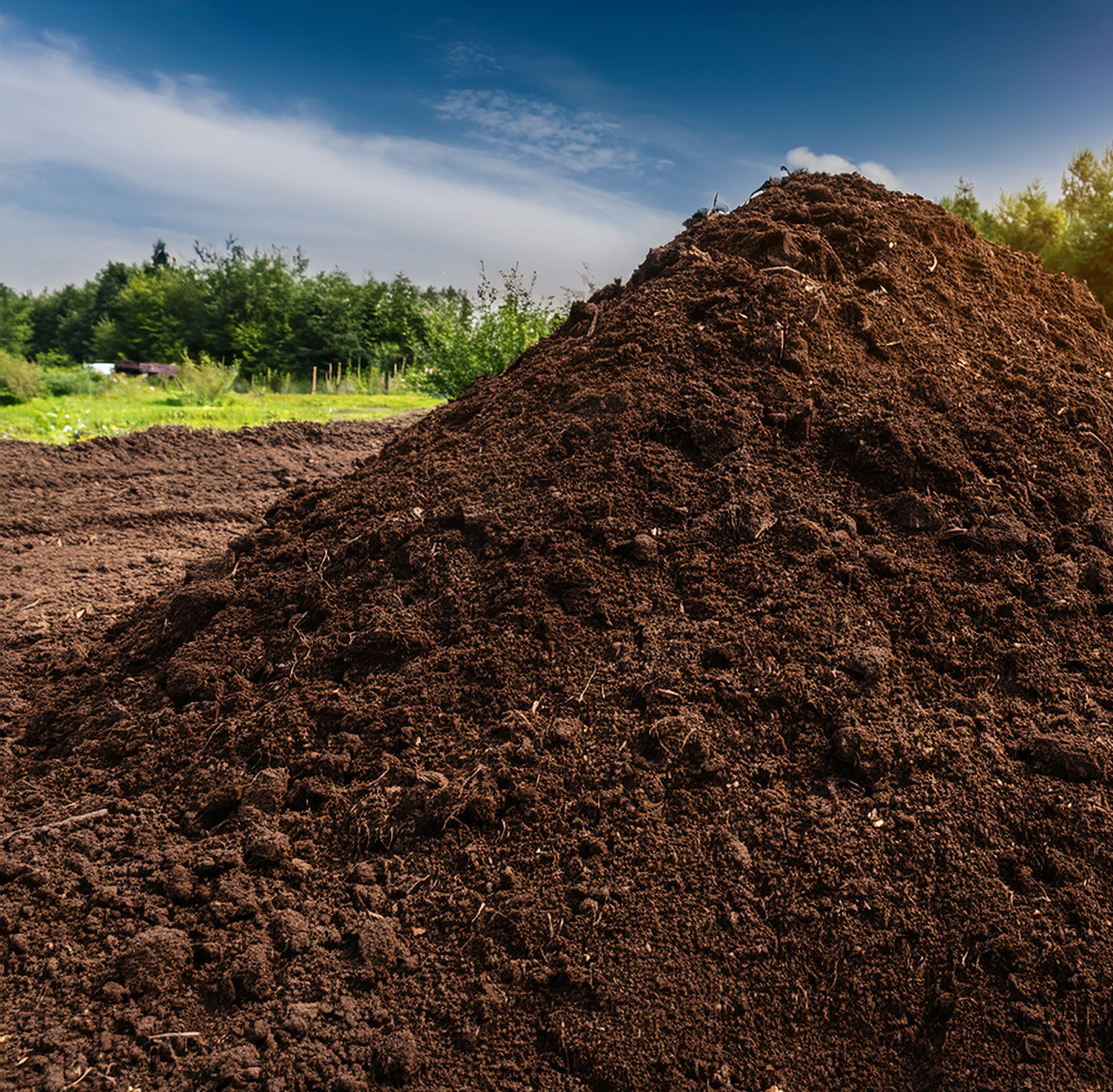 Topsoil - Ottawa Valley Little Loads